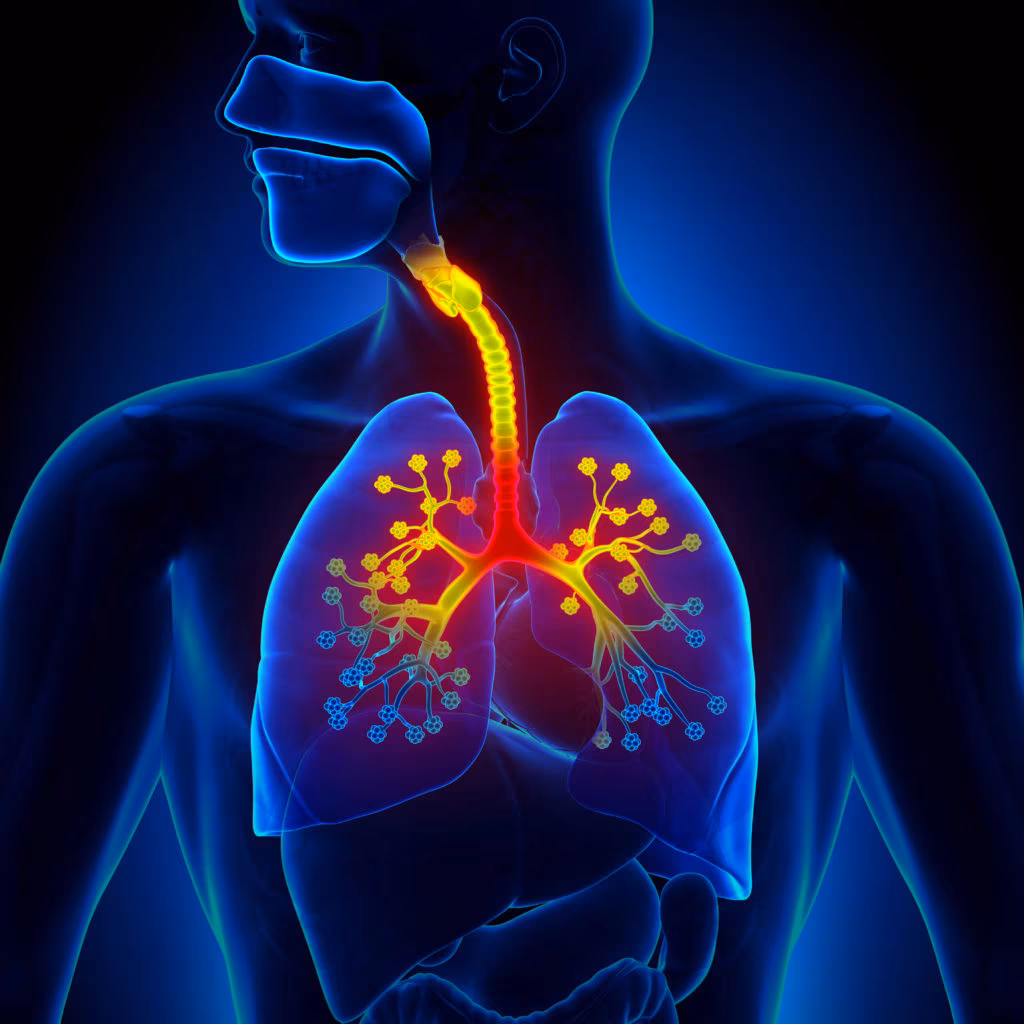 epidemiology-diagnosis-and-available-treatment-for-alpha-1-antitrypsin